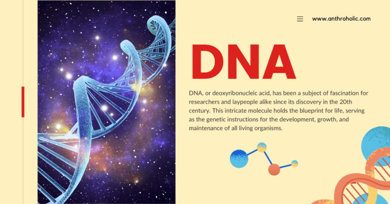 What is Kinship in Anthropology & Sociology? | Anthroholic