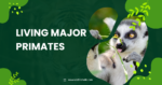 Living Major Primates in Anthropology | Anthroholic