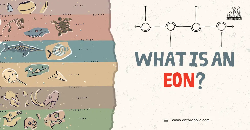 What Is Eon In Geological Time Scale Anthroholic What Is Eon In Geological Time Scale Anthroholic