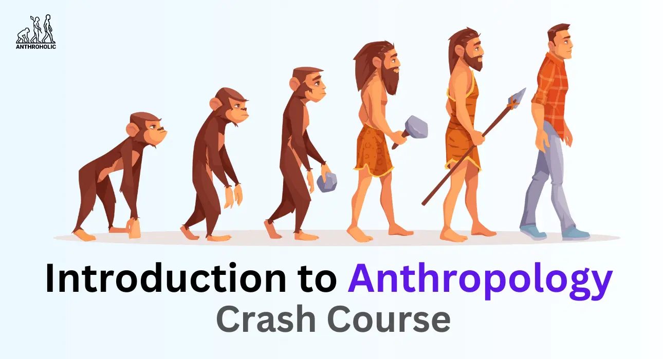 Anthroholic Learn Anthropology For Free